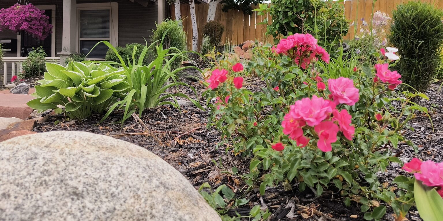 LANDSCAPING Denver Colorado | Call 720-238-1359